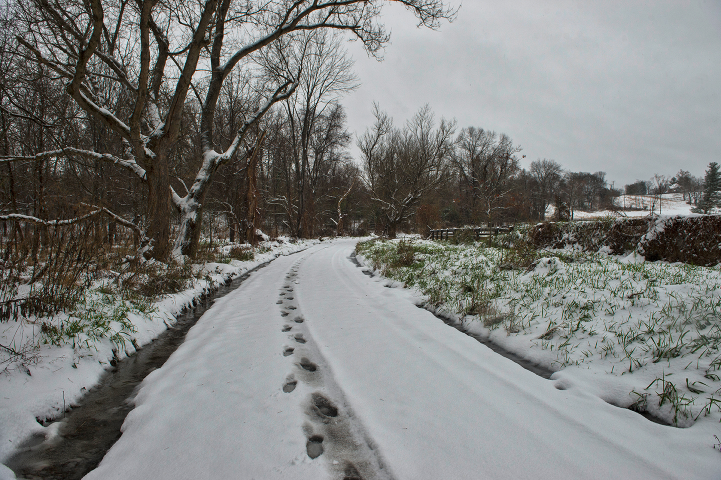 Beaverdam Bridge Road – DISCOVER. EXPERIENCE. PRESERVE.